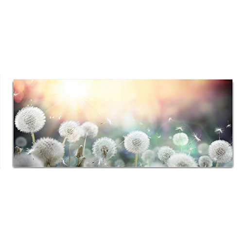 Glasbild Pusteblume – Die 15 besten Produkte im Vergleich - Heim & Werk ...