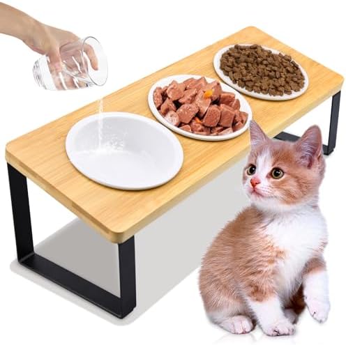 GUUSII HOME Raised Cat Bowl with Stand Kitty Dish Ergonomic Elevated ...