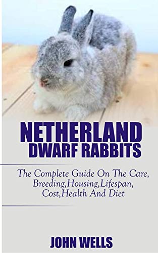 NETHERLANDS DWARF RABBITS: The Complete Guide On The Care, Breeding ...