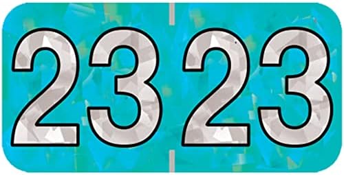 Amazon.com : 2024 Year Stickers, Doctor Stuff, Holographic Green ...