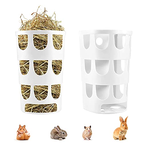 Comederos para conejos. Escoger el mejor modelo para tu mascota | Mundo ...