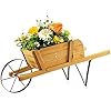 Amazon.com: HAPPYGRILL Wheelbarrow Wagon Plant, Small Solid Pine Wood ...