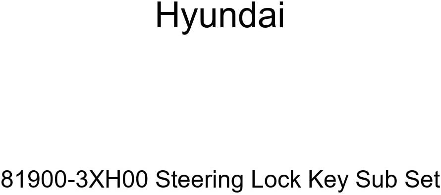Amazon.com: Genuine Hyundai 81900-3XH00 Steering Lock Key Sub Set ...