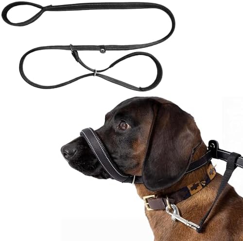 Figure of 8 Dog Lead, Iead Dog Leads for Large Dogs,Dog Leads for ...