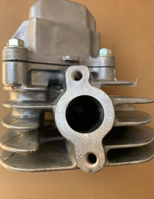 Amazon.com: Cylinder Head Kit for Generac GP2500i Gas Generator ...