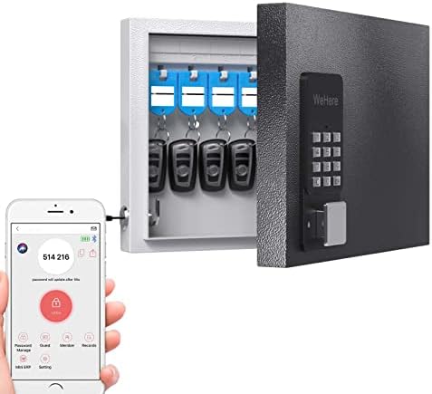 Amazon.com : KYODOLED Electronic 40 Keys Cabinet Wall Mount,Digital Key ...