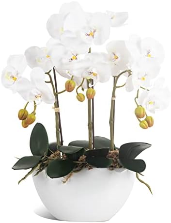 Amazon.com : Ziwon Artificial Orchid Flowers Potted in Ceramic Pot ...