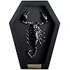 Amazon.com - Real Large Scorpion Beetle Coffin Black Frame Gothic Decor ...