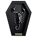 Amazon.com - Real Large Scorpion Beetle Coffin Black Frame Gothic Decor ...