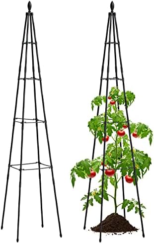 Amazon.com : AlisisFores Garden Trellis for Climbing Plants, A -Shape ...