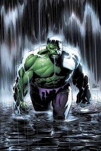Incredible Hulk #77: Peter David: Amazon.com: Books