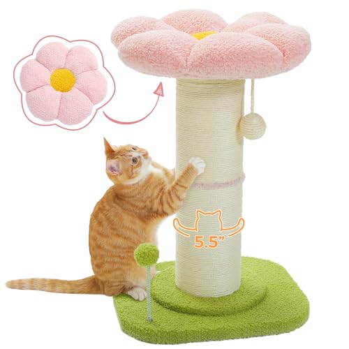 Flower Cat Tree – The 15 best products compared - Wild Explained