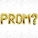 Amazon.com: Prom Proposal Balloons Prom Balloons with Question Mark ...