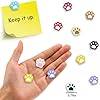 Amazon.com: 20Pcs Paw Print Magnets Fridge Magnets Cute Refrigerator ...