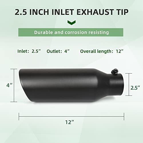 Snapklik.com : AUTOPTIM 2.5 Inch Inlet Exhaust Tip - 2.5 X 4 X 12 ...