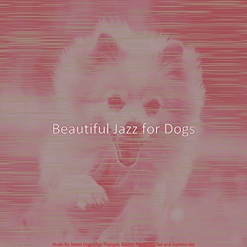 Music for Sweet Dogs - Fun Trumpet, Electric Piano, Alto Sax and ...