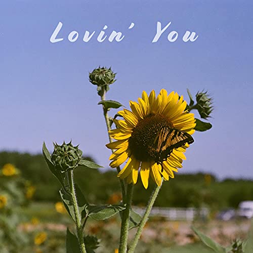 Lovin' You (feat. Roger Pearl) de The Artist 336 feat. Roger Pearl en ...