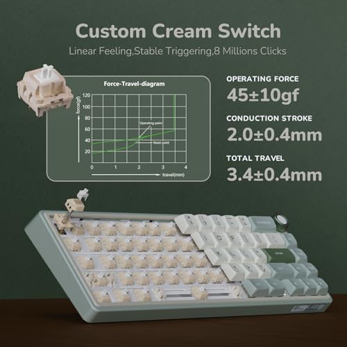 RK ROYAL KLUDGE R65 Wired Mechanical Keyboard with Volume Knob, 60% ...