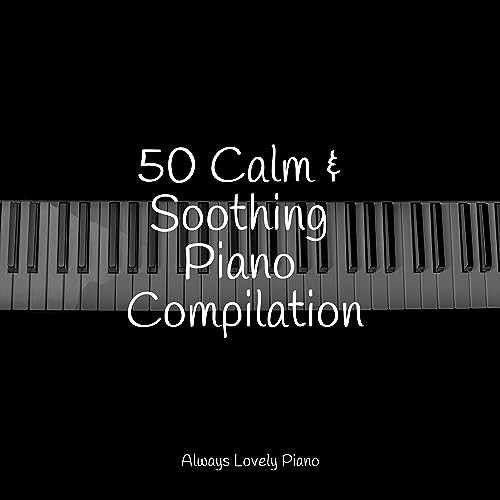 Play 50 Soft Melodies for the Peaceful Ambience by Background Piano ...