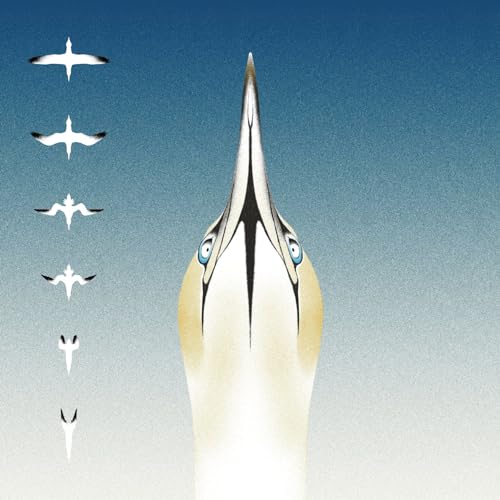 Play Sula Bassana by 20syl & Christophe Panzani on Amazon Music