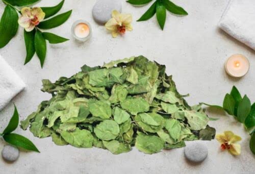 Mehndi Patta-Lawsonia Inermis-Raw Herbs- Mehendi Patta-Heena Leaves ...