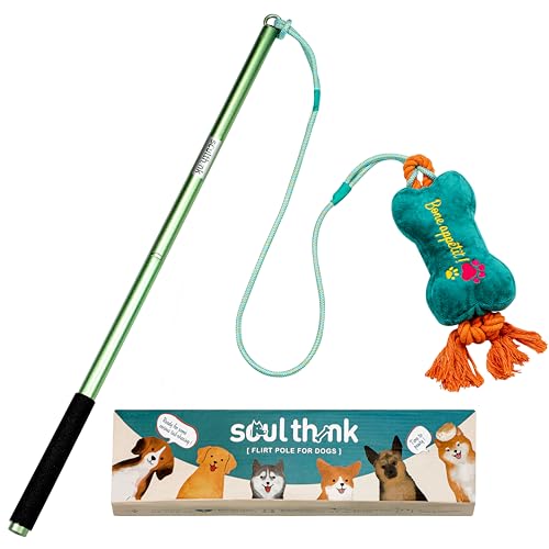 Get Your Dog's Tail Wagging with these Top 10 Flirt Poles - A ...