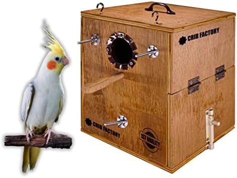 Crib factory Perfect Breeding Box for cockatiel birds | HIGH-QULTY ...