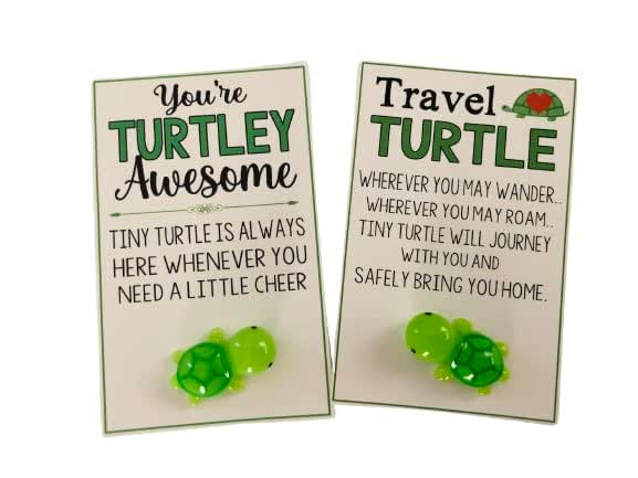 Amazon.com: You're TURTLEY AWESOME and TRAVEL TURTLE - Set of 2 mini ...