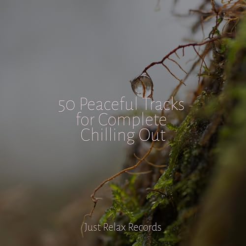 50 Peaceful Tracks for Complete Chilling Out by Sonidos de la ...
