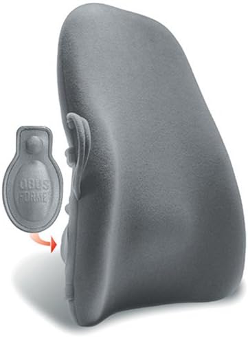 Amazon.com: Obus Forme Custom Air Backrest, Gray : Health & Household