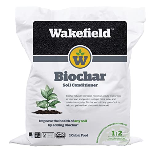 Biochar Energy as a Carbon Based Soil Amendment