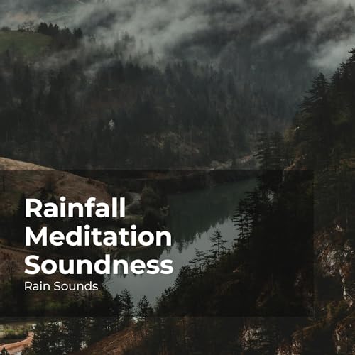 Amazon Musicで雨の音, Natural Rain Sounds for Sleeping & Rain Storm Sample ...