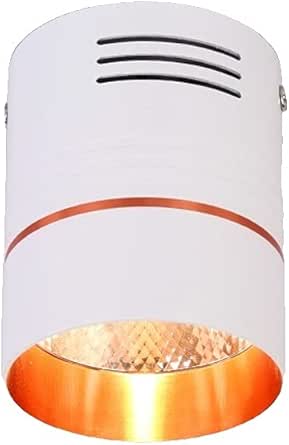 OXVUE Downlight Indoor Ceiling Surface Mounted Spotlight Picture ...