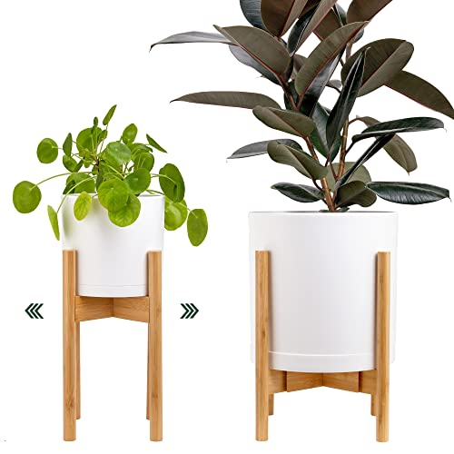 Bees & Buds Plant Stands - Upward Gardener