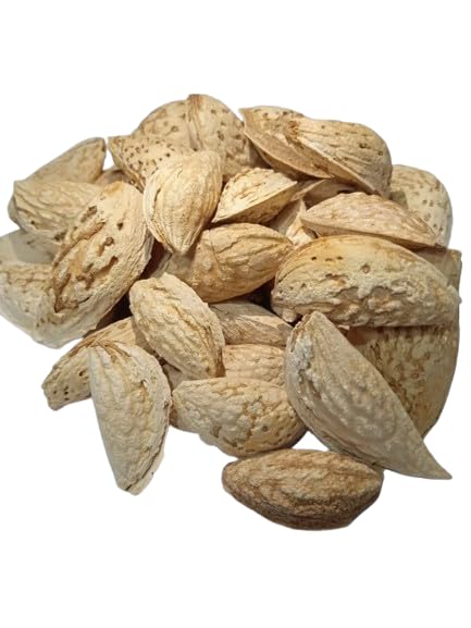 SHAAN-E JAIPUR Natural Premium Kagazi Badam | Almond with Shell | Badam ...
