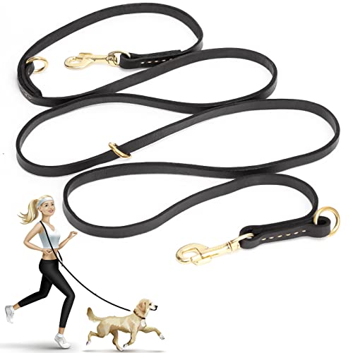 Cross Body Dog Leash – The 15 best products compared - Wild Explained