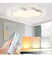 Liudefa 42 Inch LED Ceiling Light Fixture,20 Lights Modern Ceiling ...