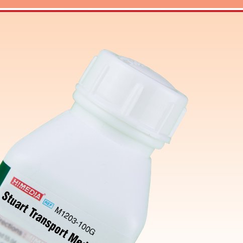 Stuart Transport Medium w/o Sodium Glycerophosphate : Amazon.in ...