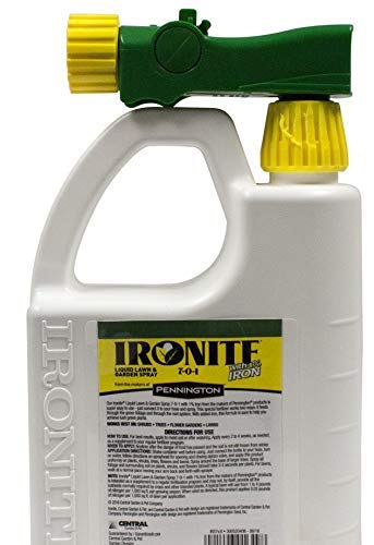 Liquid Iron for Lawns: Everything You Need To Know - The Backyard Master