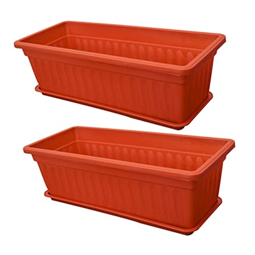 Mejores macetas rectangulares baratas ️ 2024