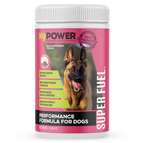 10 Best Dog Foods for Building Strong and Lean Canine Muscle - Furry Folly