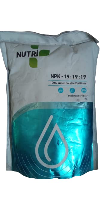 Nutri 1kg : Amazon.in: Health & Personal Care