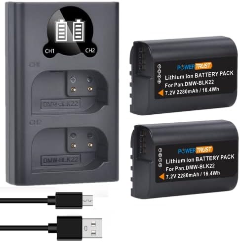K&F Concept 2-Pack DMW-BLK22 Battery and Charger Set, Compatible with ...