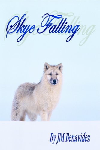 Skye Falling - Kindle edition by Benavidez, JM. Literature & Fiction ...