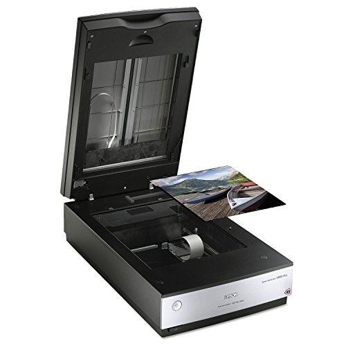 5 Best Scanners for Archiving Photos in 2025