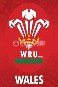 Wales Rugby Union WRU Crest Large Sport Poster 61 by 91.5cm : Amazon.co ...