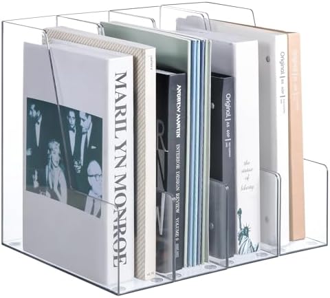 Amazon.com: Vertical Magazine File Holder, Clear File Organizer Desk ...