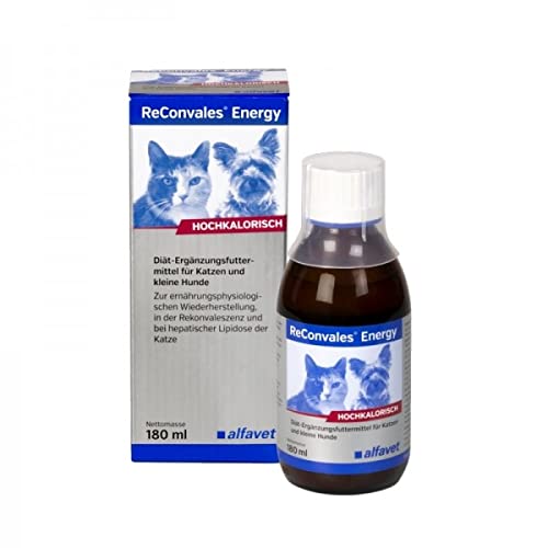 Semintra Katze – Die 15 besten Produkte im Vergleich - Haustierratgeber ...