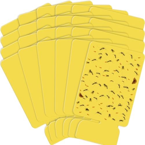 Amazon.com : Flying Insect Trap Refill Kit, Indoor Plug-in Fly Trap ...