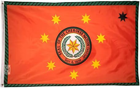 Comanches Flag